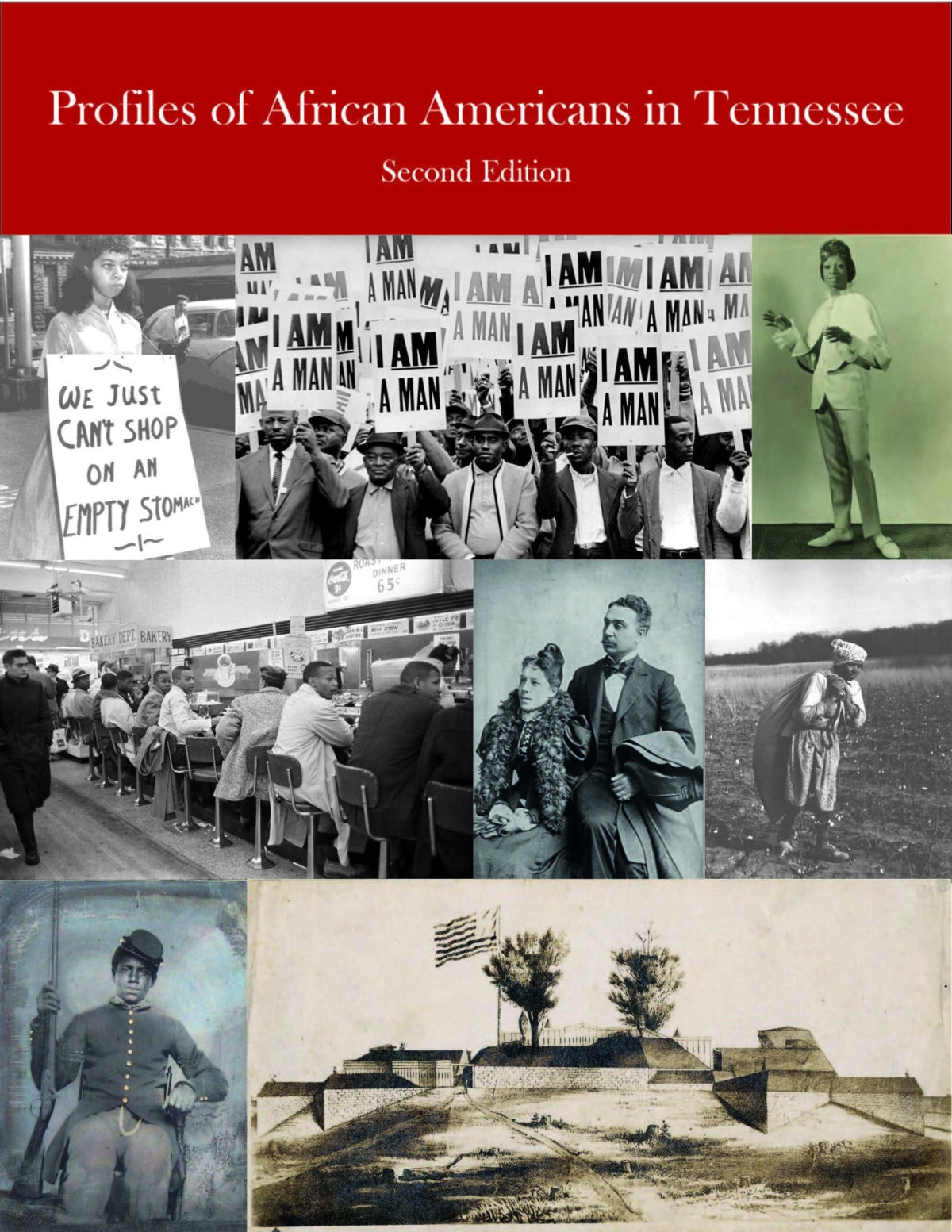 Profiles of African Americans in Tennessee